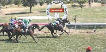 Thousands enjoyed the Dederang Picnic Races - PressReader