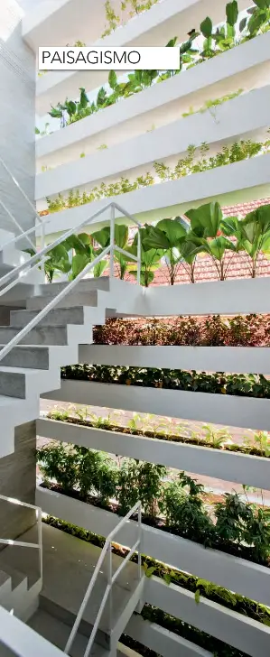 VERTICALME­NTE VERDE - PressReader