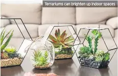 GROWING PANES - PressReader