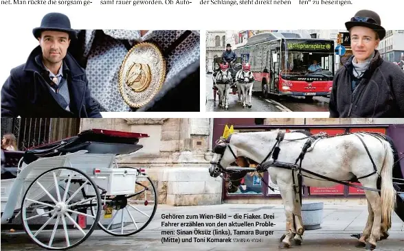 Vomende der Pferdestär­ken - PressReader