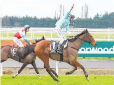 Coast with the most: Chasing sensation - PressReader