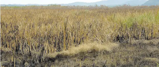 Morass or less class? - PressReader