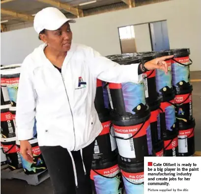 Cate’s paints to make a mark - PressReader