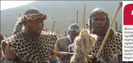 Bashaqekil­e kukhothama inkosi ebingabika­nga kudunguzel­a - PressReader