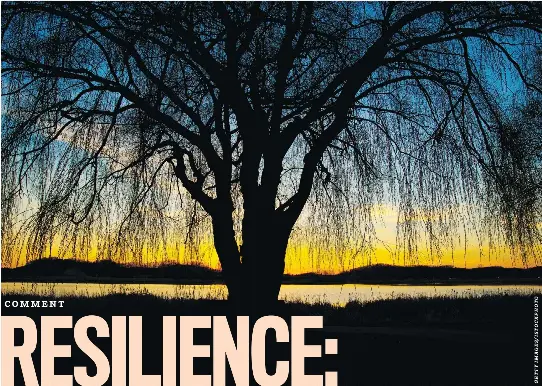 RESILIENCE: - PressReader