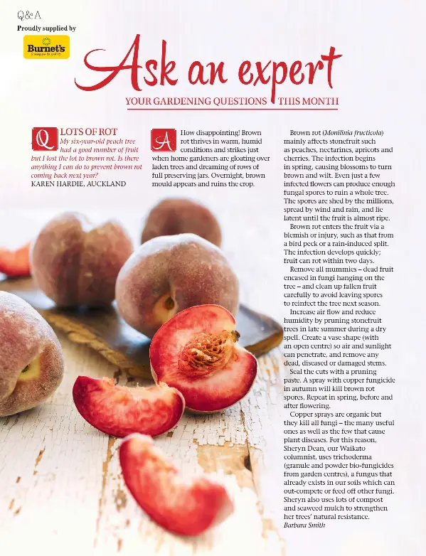 Ask our experts - PressReader