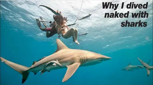 Why I dived naked with sharks - PressReader