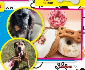 Personalis­ed pet presents - PressReader
