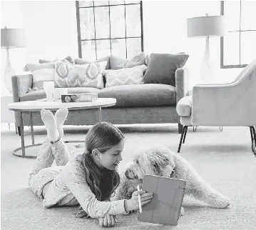 Creating a pet-friendly palace - PressReader