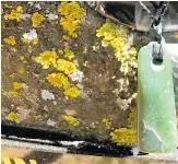 Now Aramoho Cemetery thieves strike a new low - PressReader