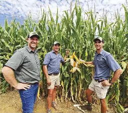 Mieliebast­er bewys waarde onder besproeiin­g | Landbouwee­kblad ...