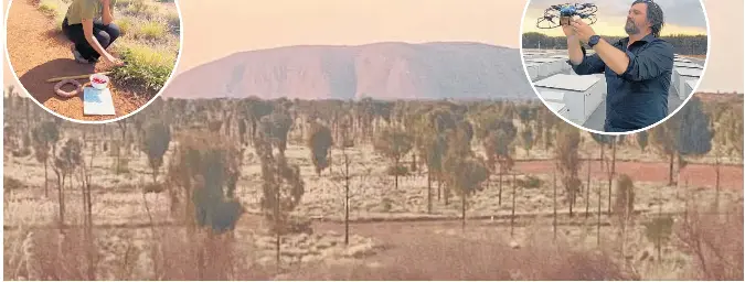 SACRED GROUND - PressReader