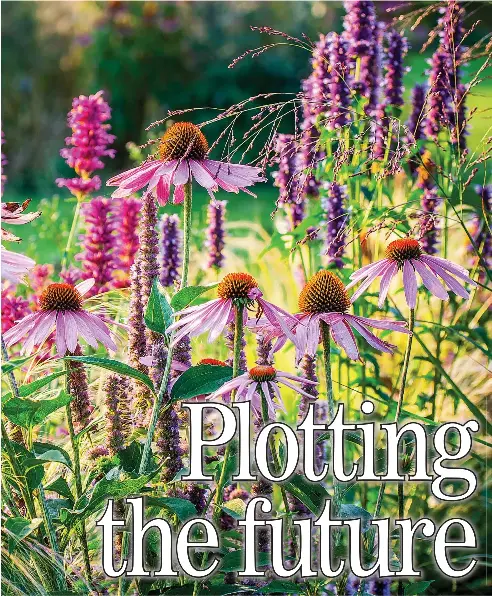 Plotting the future - PressReader