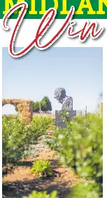 MIDLANDS’ GARDENS internatio­nal accolade - PressReader