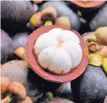 ¿Conoce el mangostán o la pitahaya? Costa Rica los produce - PressReader