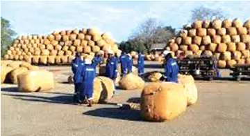 Cottco resumes payments after liquidity crisis - PressReader