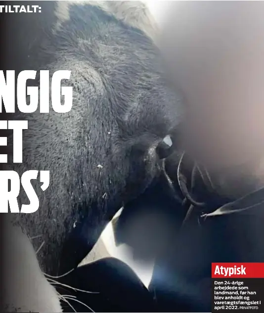 PSYKOLOG OM SEXTILTALT: ’ DYBT AFHÆNGIG AF EGET UNIVERS’ - PressReader