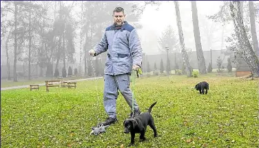 PUPPY LOVE AS CZECH PRISON INMATES TRAIN ASSISTANCE DOGS - PressReader