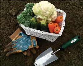 When ‘Fergie-time’ involved - PressReader