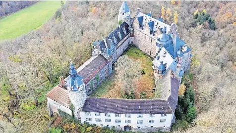 Unternehme­r aus Sachsen will Elon Musk ein Schloss schenken – Wer ist ...