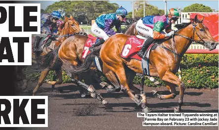 TRIPLE TREAT FOR CLARKE - PressReader