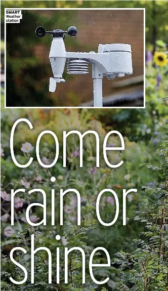 Come rain or shine - PressReader