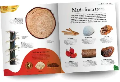 The Secret World of Plants - PressReader