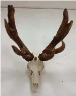 A source of fascinatio­n - PressReader