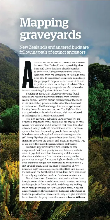 Mapping graveyards - PressReader