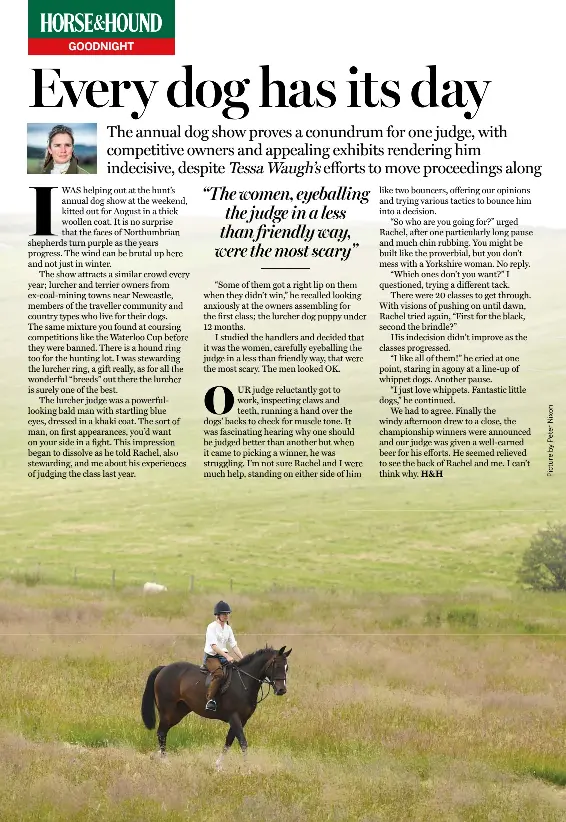 Every dog has its day - PressReader