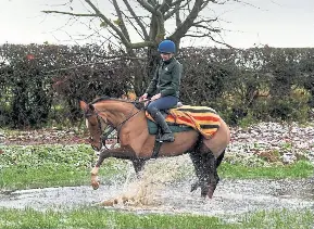Couple out to make a Point - PressReader