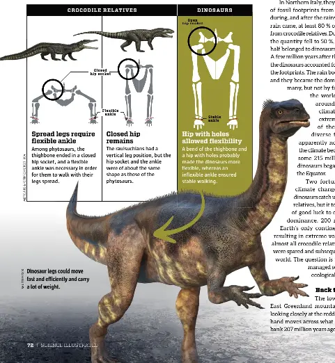 Inflexible ankles were dinosaurs' trump card - PressReader