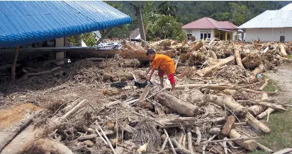 Indonesia’s deforestat­ion intensifie­s - PressReader