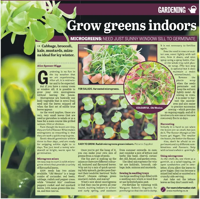 Grow greens indoors - PressReader