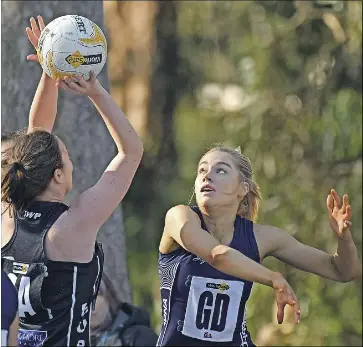 Cats climb up into second - PressReader