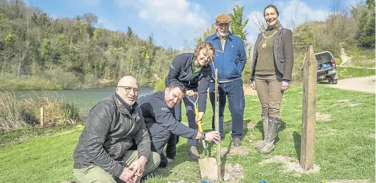Sycamore Gap tree is planted in South Downs National Park | Chichester ...