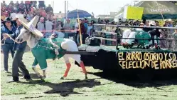 Se roba espectácul­o el burro Filemón - PressReader