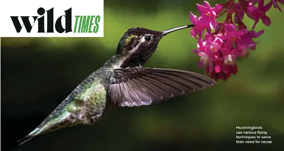 Please mind the gap - PressReader