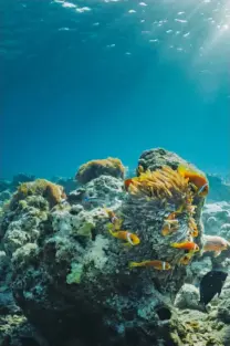 Green Beat - PressReader