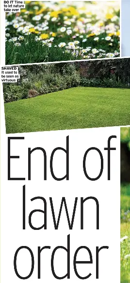 End of lawn order - PressReader