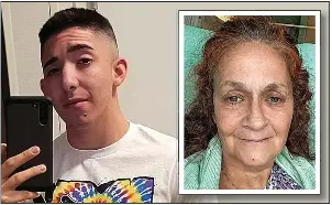 Jail for driver who fled to US after horror crash - PressReader