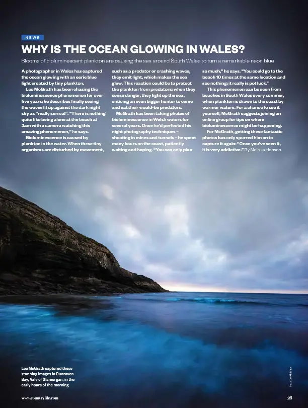 WHY IS THE OCEAN GLOWING IN WALES? - PressReader