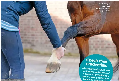 Stretch it out - PressReader