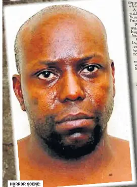 PETER BRYAN - PressReader