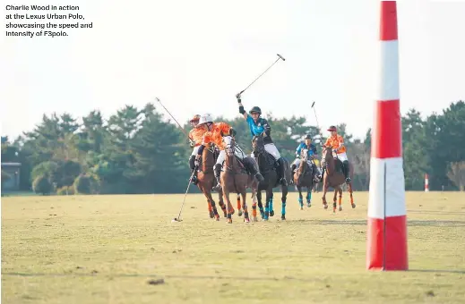 From Canterbury to Tehran: Charlie Wood’s Polo adventures - PressReader