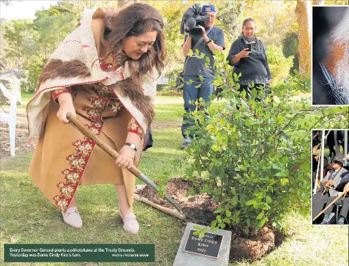 Waitangi welcomes Dame Cindy - PressReader