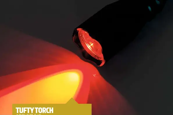 TUFTY TORCH - PressReader