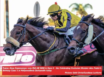 Pas De Nom to bounce back - PressReader