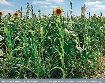 Dekgewasse in Noordwes nié vergesog: 10 jaar se proewe bring dié ...