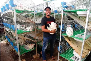 Engineer leaves lucrative job to start rabbit farming business ...